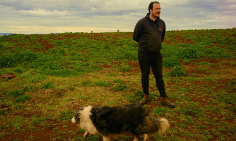 Unique foraged native ingredients | Spurrell Foraging | Ordermentum ...