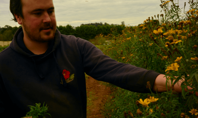 Unique foraged native ingredients | Spurrell Foraging | Ordermentum ...