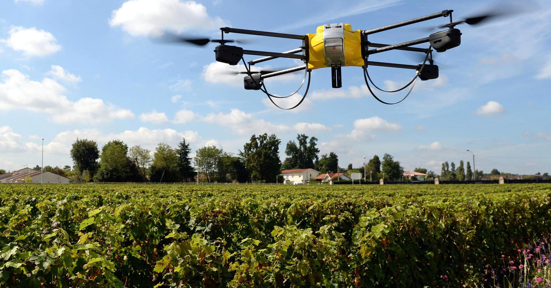 How Drones, Computer Vision, and AI are Transforming the Agricultural ...